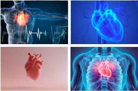 Professional Certificate (PCert)